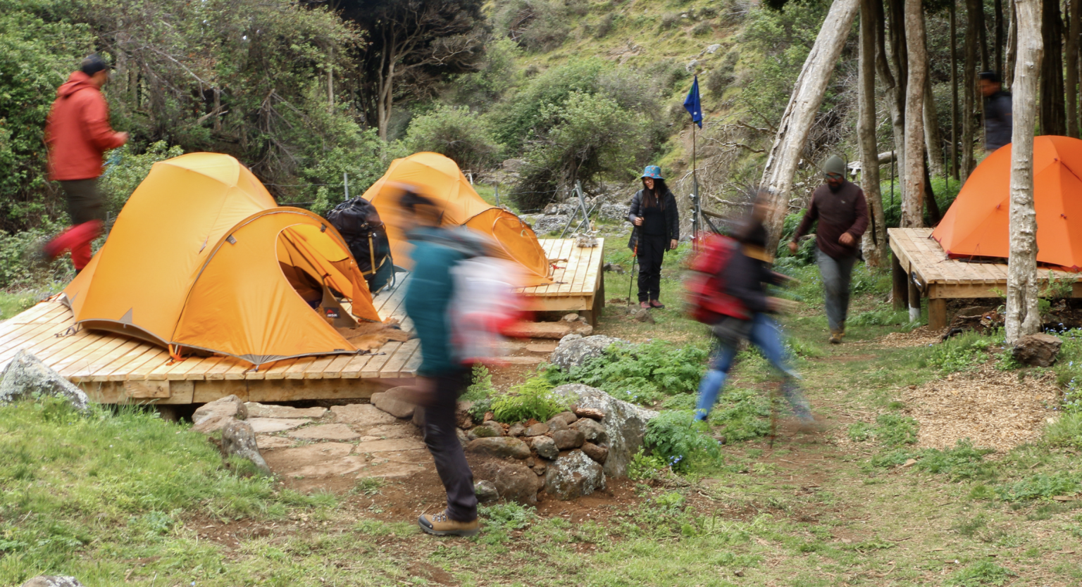 A Conversation with Cece King, Elsa Hana Chung & Camilla Marchese ...