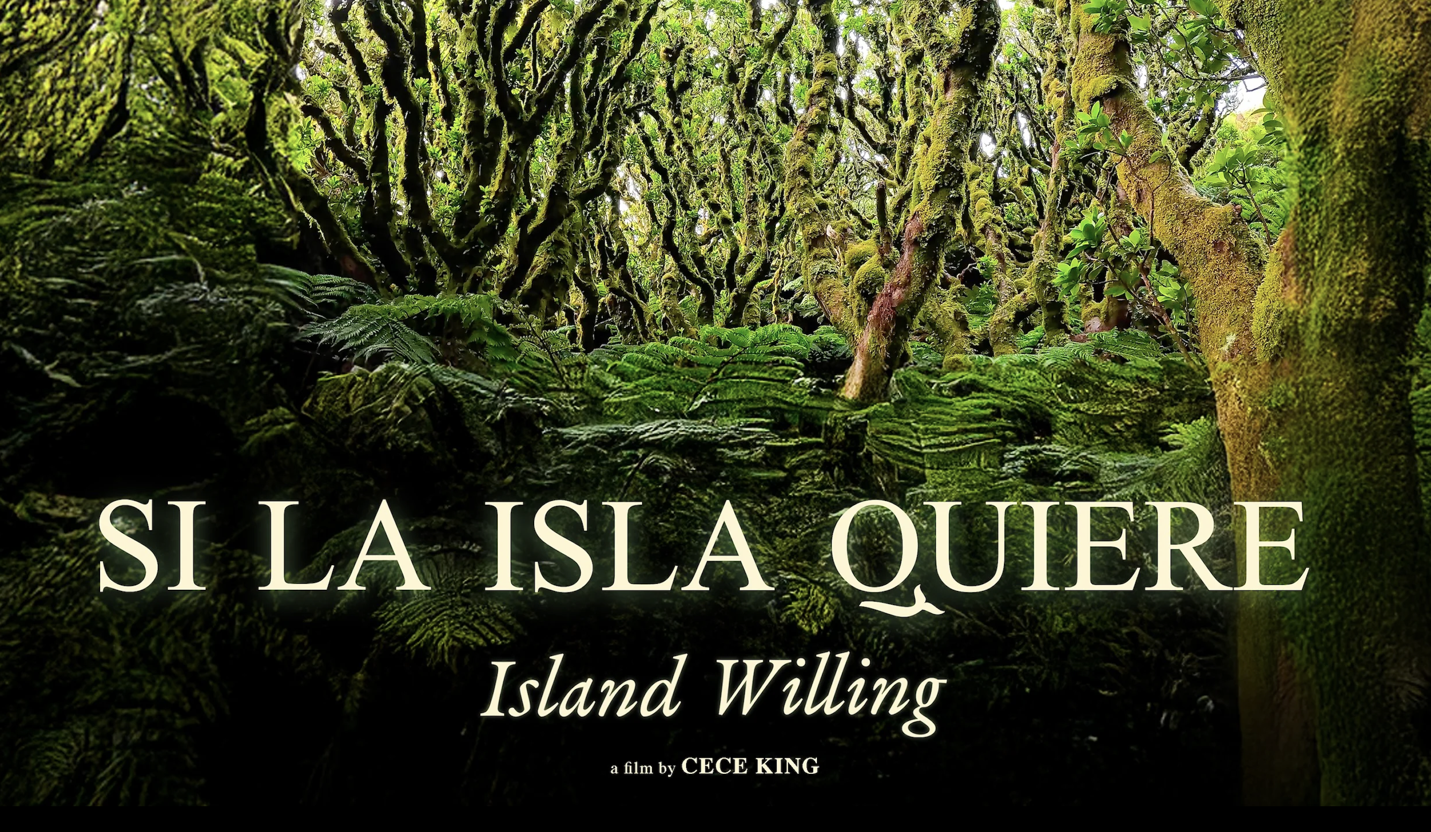 A Conversation with Cece King, Elsa Hana Chung & Camilla Marchese ...