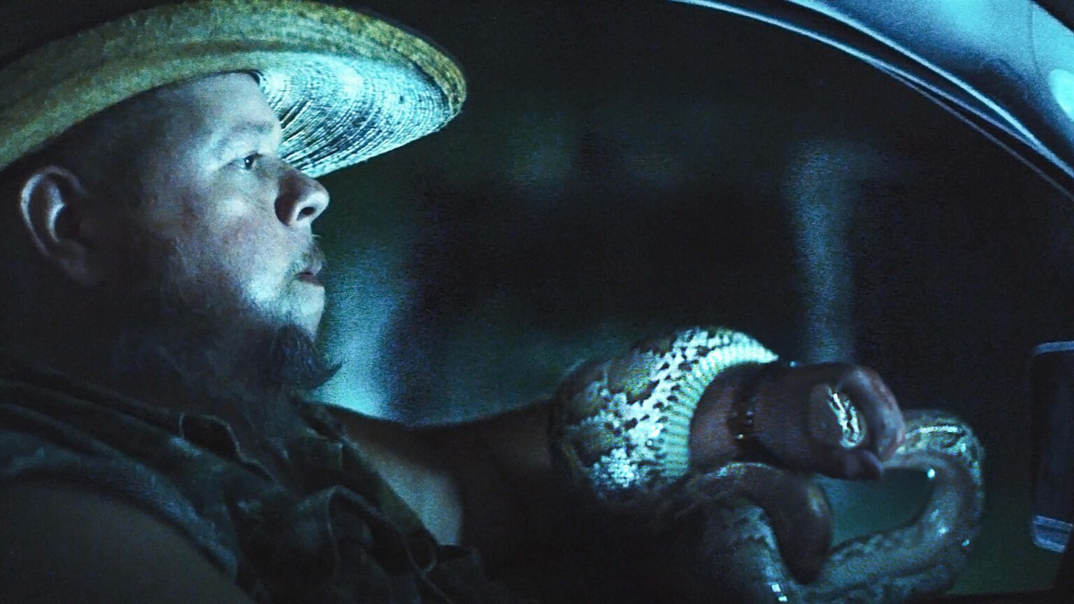THE PYTHON HUNT Trailer: Award-Winning Documentary Chronicles Snake ...